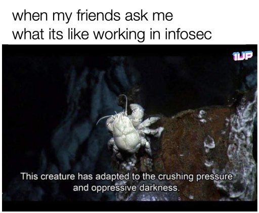 24 Depressing Cyber Security Memes - 1up.ai